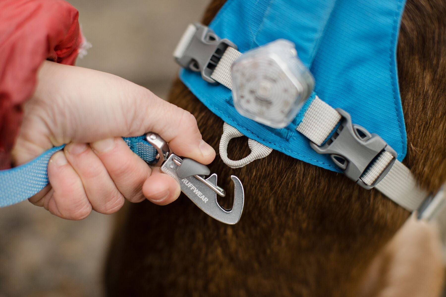 Ruffwear Flagline Harness, multi-use harness with handle | Leadingdog